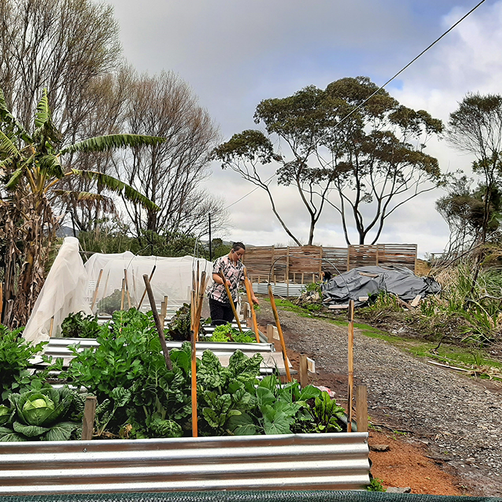 Goodlife Project | Northland Waste
